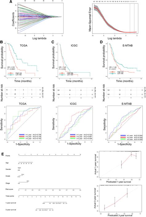 risk model for pdac patients based on m⁶a related metabolism genes a