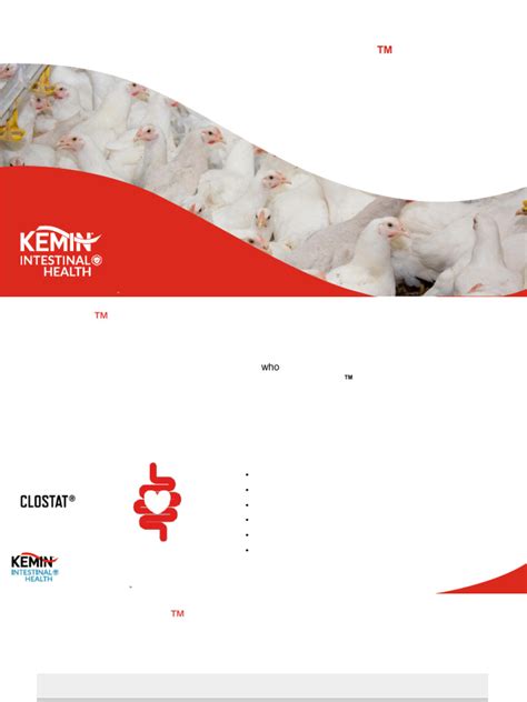 23 Clostat Pdf Medical Specialties Microbiology