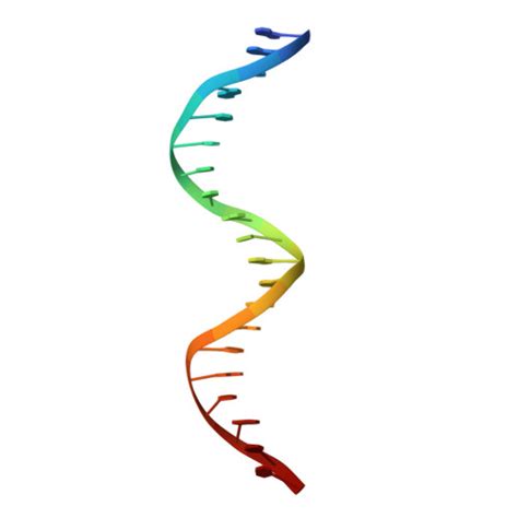 Rcsb Pdb 6s6h Crystal Structure Of The Dna Binding Domain Of The