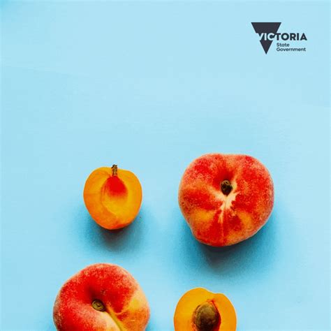 Victorian Department Of Health On Twitter Talking About Sexualhealth