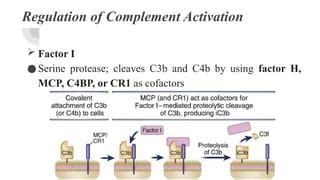 COMPLEMENT SYSTEM AND ITS CLINICAL IMPLICATIONS PPT