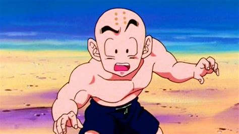 Talking About Gohan And Chi Chis Sexual Innuendos Teamfourstar Tfs