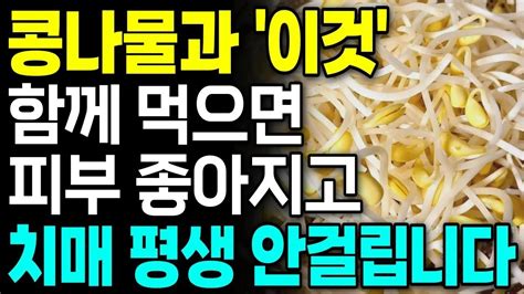 당뇨에 최고인 부추 이것과 같이 먹으면 혈관 염증 싹 사라지고 고혈압 고지혈증 지방간 뇌혈관 혈액순환에 좋습니다 Youtube