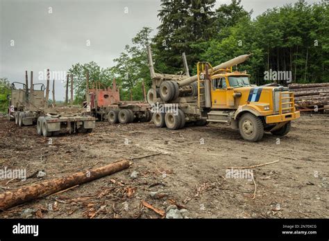 Logging Trucks Log Sort Yard Alliford Bay Moresby Island Haida