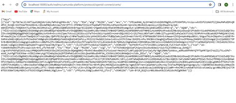 unable to call operate rest api using postman in self managed cluster