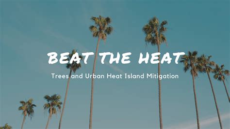 Trees And Urban Heat Island Mitigation Action Tree Care