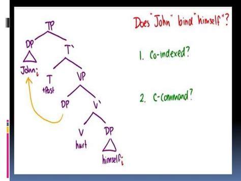 Binding Theorypptx