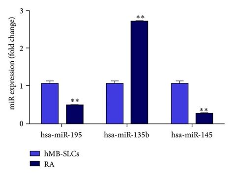 Microrna Profiling Of Hmb Slcs And Ra Treated Cells And Qpcr Download Scientific Diagram