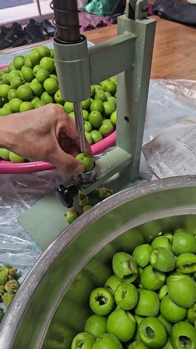 매실 짱아찌 담으려고 씨를 기계로 빼고 있어요기계 필요 하신분 댓글 남겨주세요 Youtube