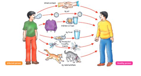 KSEEB Class SSLC Biology Chapter Why Do We Fall Ill Notes Learn KSEEB