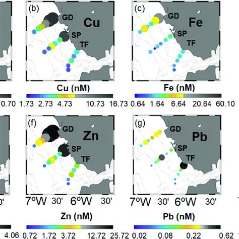 Trace Metals Concentration Nm At Stoca Sampling Stations Along The