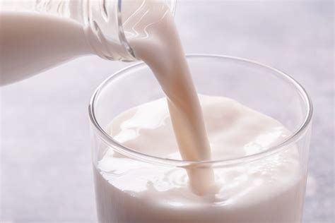 Comment Se Fait La Pasteurisation Du Lait Fiches Conseils Et Guides