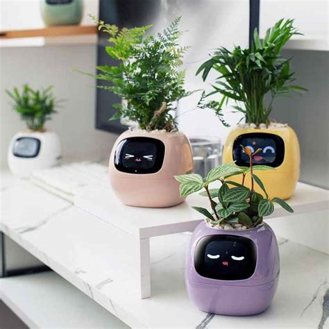 Smart Mimi Flower Pot Ai Sensor Facial Interaction App Digital Pet Self