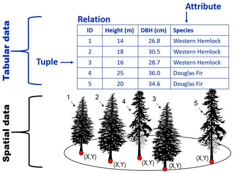chapter 5 relational databases geomatics for environmental management