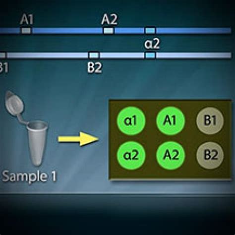 How To Analyze Dna Microarray Data
