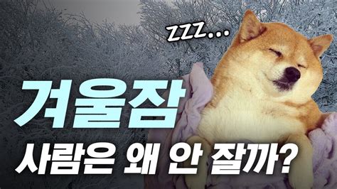 사람도 겨울잠을 잘 수 있을까 Youtube