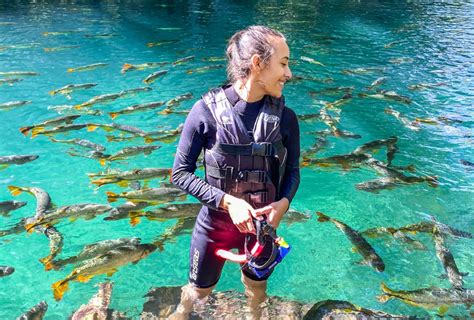 Quanto Custa Viajar Para Bonito MS Bonitour Viagens E Turismo
