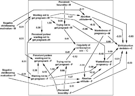 A Schematic Representation Of The Structural Equation Model Of The
