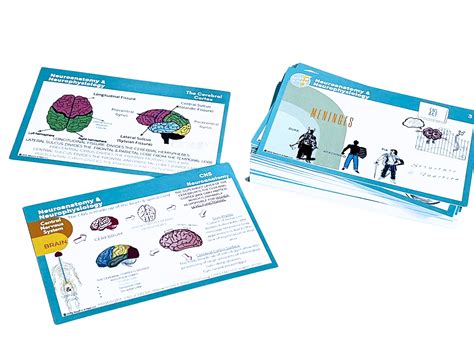 Parts Of The Microscope Flashcards Easy Notecards