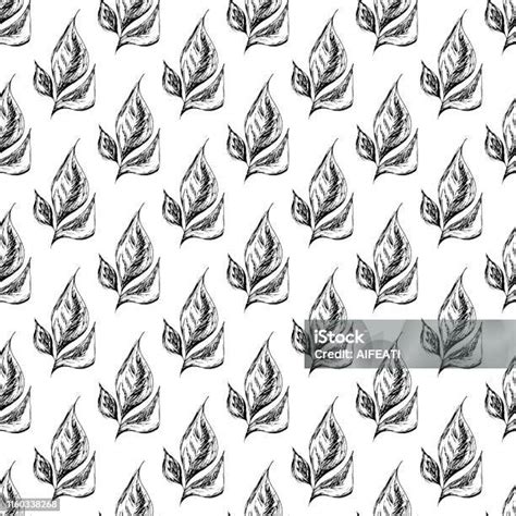 흰색 배경에 격리 추상 베이 잎의 원활한 손으로 그린 패턴 벡터 꽃 그림입니다 귀여운 낙서 현대 고립 된 팝 아트 요소 개요 그리기에 대한 스톡 벡터 아트 및 기타 이미지