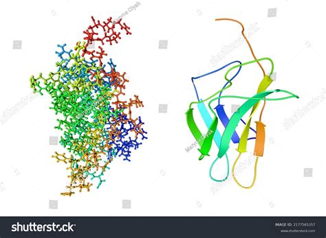 Fold Core Binding Factor Alpha Crystal Stock Illustration 2177565357 Shutterstock