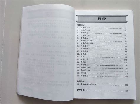 P5 P6 Psle Chinese Model Composition Hobbies And Toys Books And Magazines