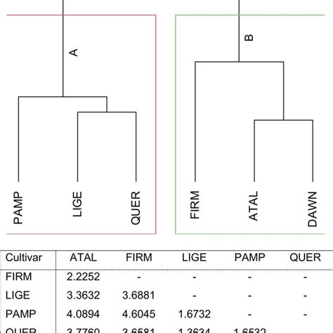 dendrogram and similarity matrix calculated based on euclidean