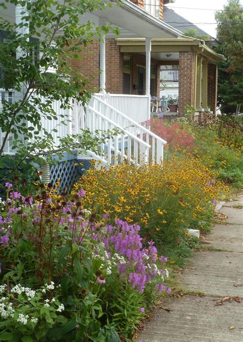 Garden Design And Restoration Edge Of The Woods Native Plant Nursery Llc