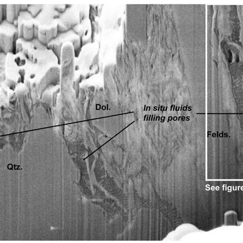 Sem Micrograph Se Of Fib Cross Section In Boom Clay Performed Under
