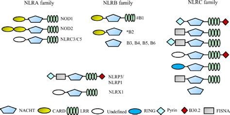 Domain Architecture Of Nlrs In Teleosts Nlrs Are Broadly Divided Into
