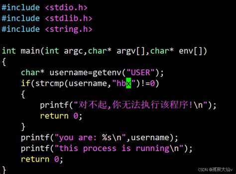 【linux笔记】环境变量getenv Csdn博客