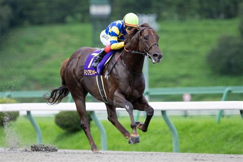 【池添謙一騎手 】池添謙一騎手がドンフランキーで重賞3勝目 トレンドサラダ