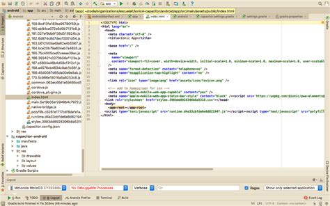 Bug Capacitor Unable To Open Indexhtml · Issue 989 · Ionic Team