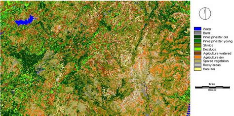 Land Cover Map For 2006 From Landsat Tm Image Supervised Classification Download Scientific