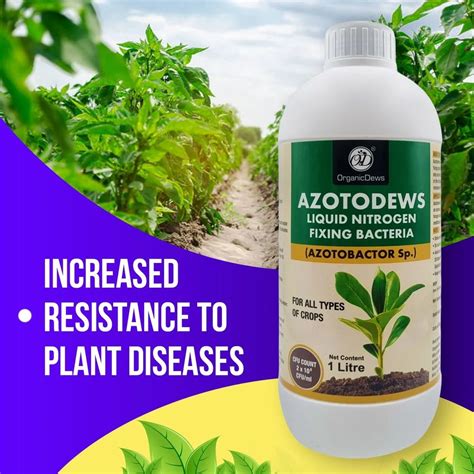 1l Azotodews Liquid Nitrogen Fixing Bacteria Azotobacter Bottle Packaging Size 1 Litre At Rs