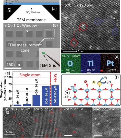 a) Schematic of the sputtered layer, b) top‐surface SEM image and ...
