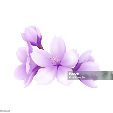 白い背景に紫色の花のベクトル図 イラストレーションのベクターアート素材や画像を多数ご用意 イラストレーション クローズアップ