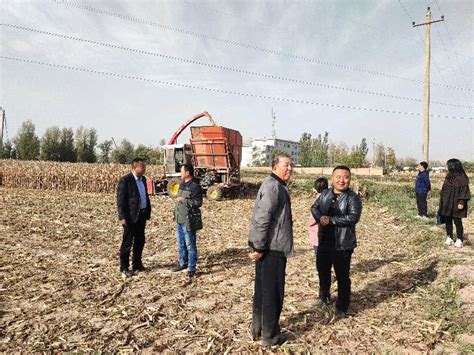 中国农业社会化服务平台