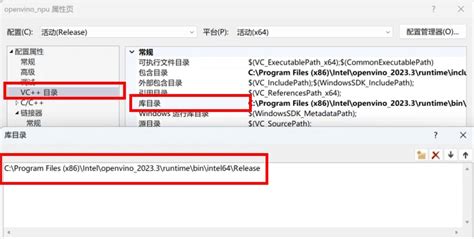 开发者实战 如何在 Windows 上调用 NPU 部署深度学习模型 哔哩哔哩