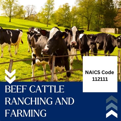 Buy Naics Code 112111 B2b Email List Iscope Digital