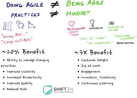 Doing Agile vs Being Agile zentao 企业管理软件研究中心
