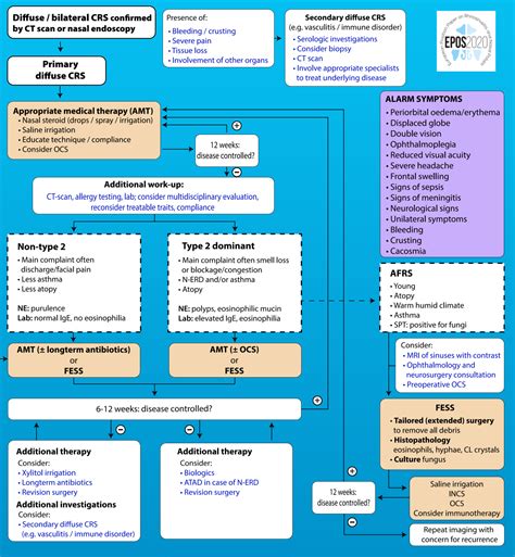 Algorithm For The Management Of Primary Diffuse Chronic Rhinosinusitis