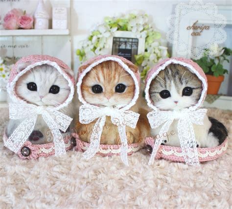 【素敵な作家さんシリーズ】しぇりささん★リアルさと可愛さをデフォルメ化した猫ちゃんを目指して作品作りをしています ハンドメイドの図書館
