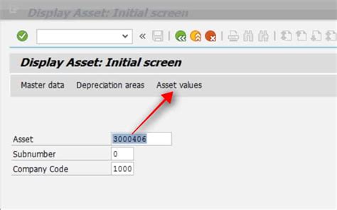 Aw01n Display Asset Values Sapsharks