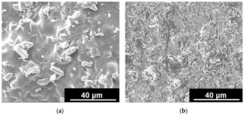 C Free Full Text Release Of Bioactive Molecules From Graphene Oxide