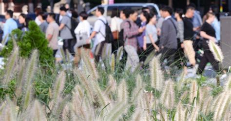 날씨 대전·충남·세종 화창한 주말낮 최고 28~30도