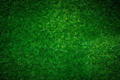 녹색 잔디 텍스처 배경 잔디 정원 개념 녹색 배경 축구 피치 잔디 골프 녹색 잔디 패턴 질감 배경을 만들기 위해 사용 0명에