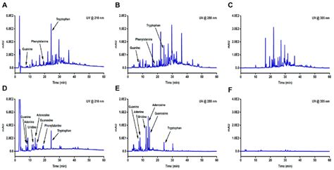 The HPLC Chromatograms Of Two Different Extracts Obtained From Hibiscus Download Scientific