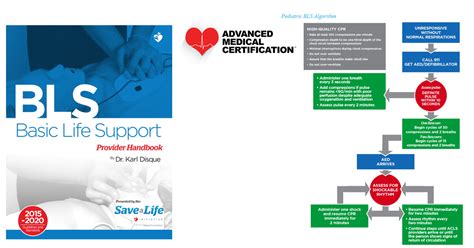 Pediatric Basic Life Support Algorithm Bls Online Handbook