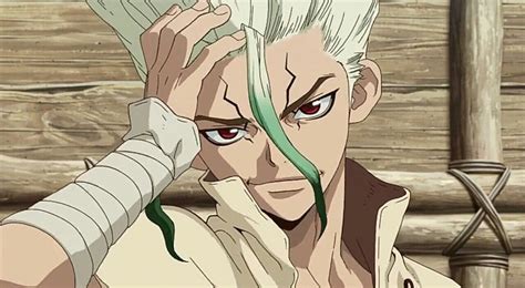 Dr Stone What Every Character Is Doing Post Finale